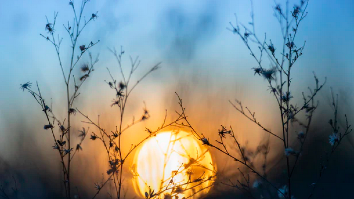 Ons Gooi - Hitteplan: pas op met ijskoud water, leg paraplu in auto en ...